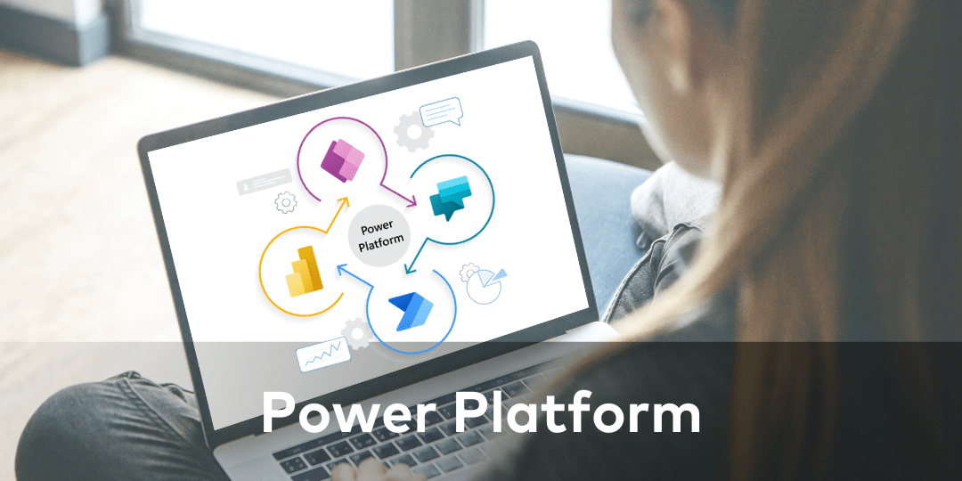 Consulting Services - DevScope Ninjas